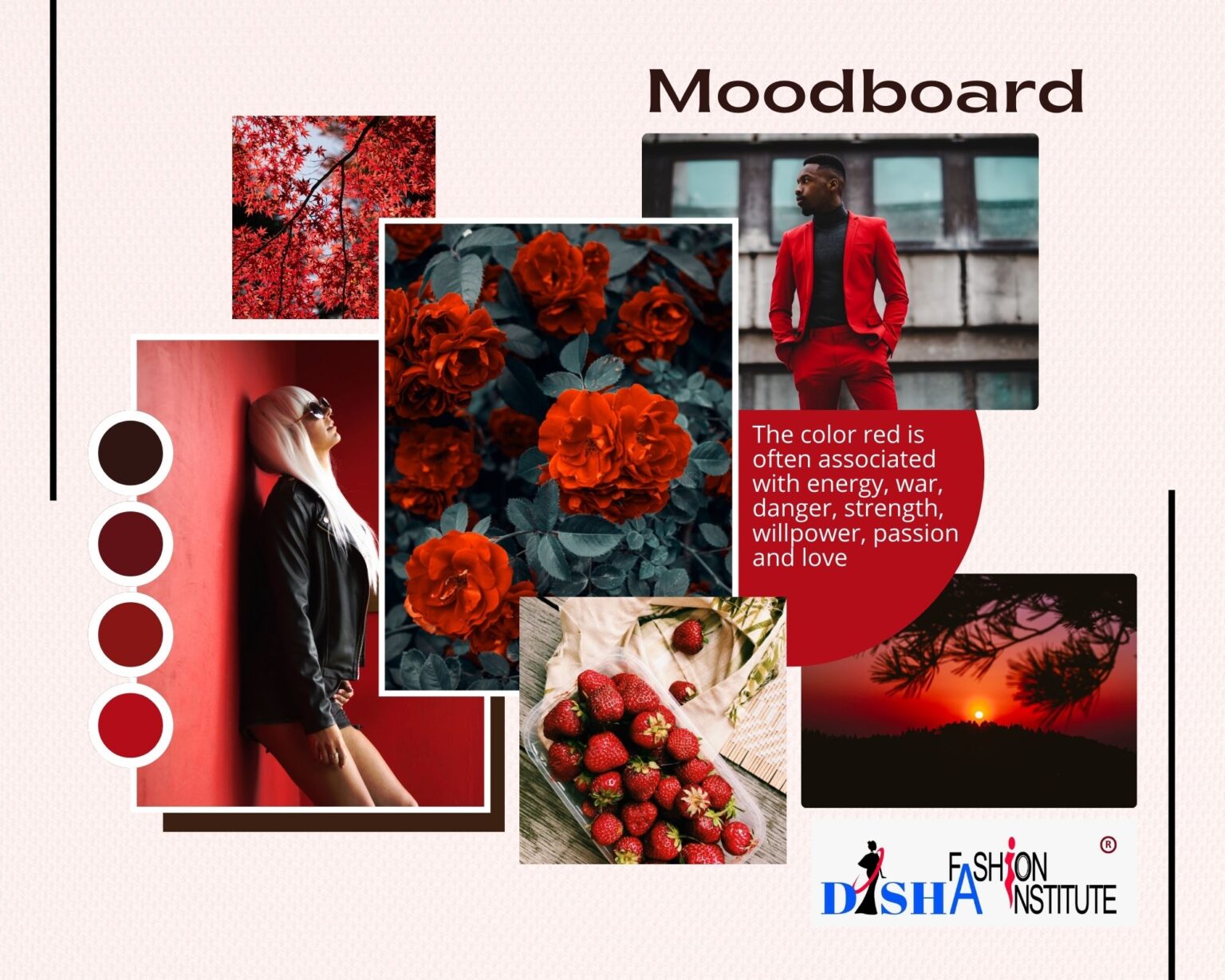 Fashion Mood Board 101: A Comprehensive Guide for Beginners to Ignite ...
